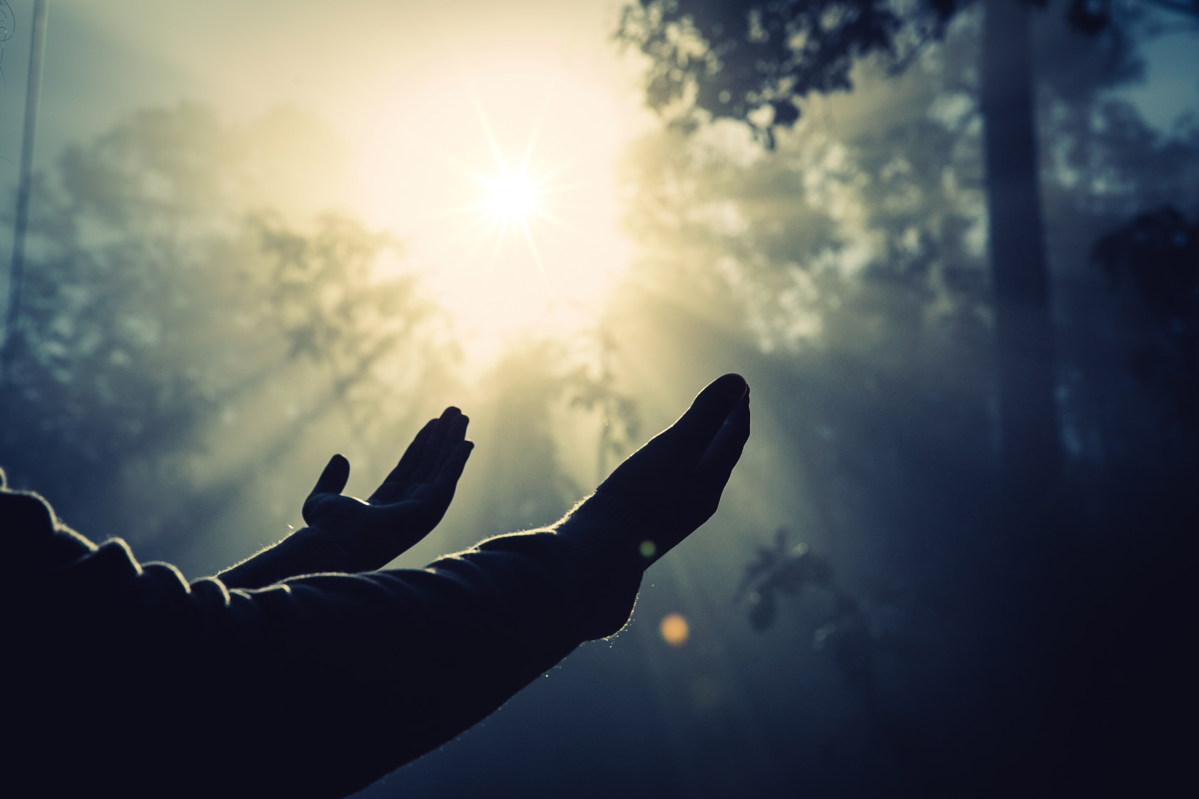 Contact Us - Being True To You